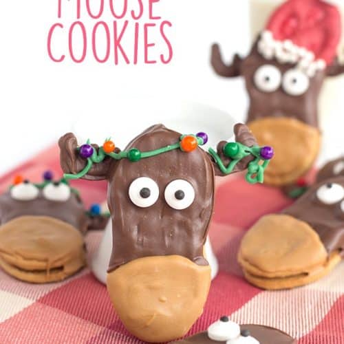 Moose Cookies