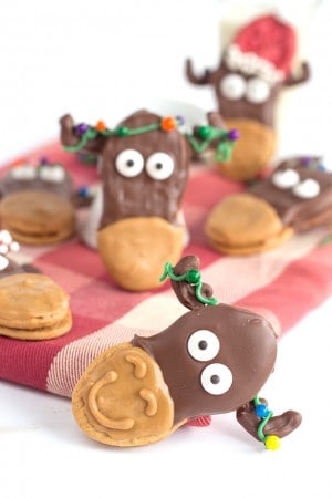 Moose Cookies