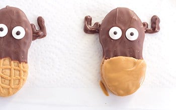Moose Cookies