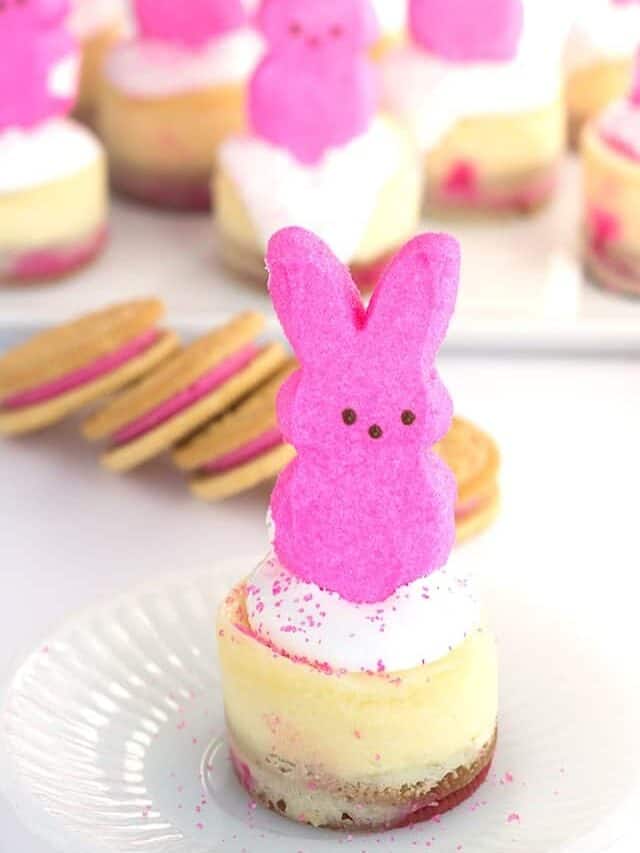 Mini Peeps Cheesecakes Story - Cookie Dough and Oven Mitt