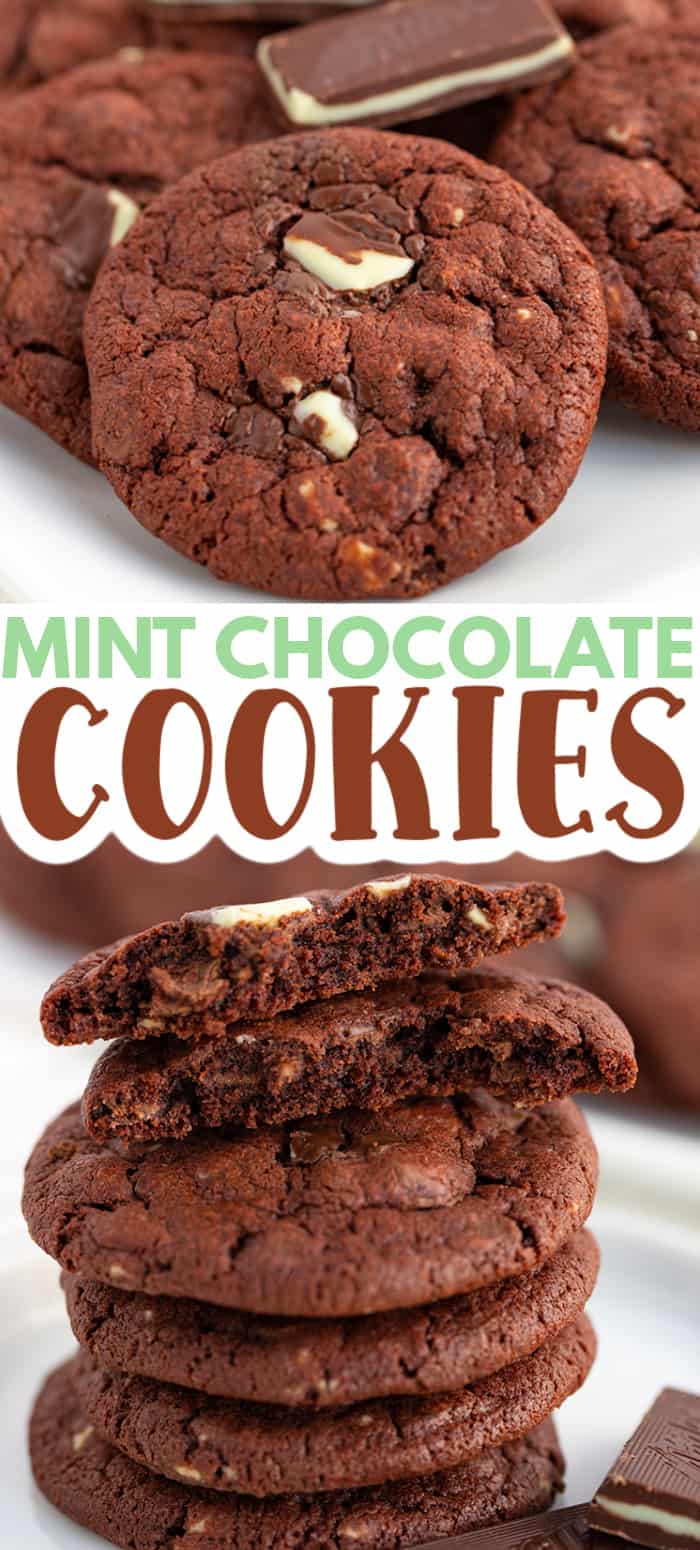 Mint Chocolate Pudding Cookies - Cookie Dough and Oven Mitt